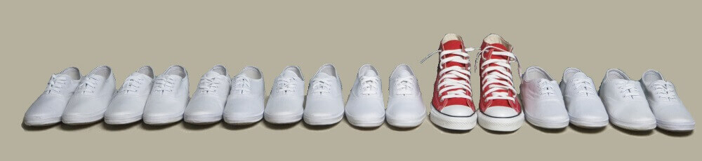 All you need to know about PolicyBee