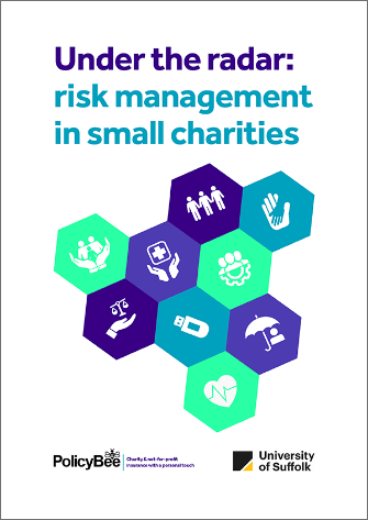 Report on risk management in small charities